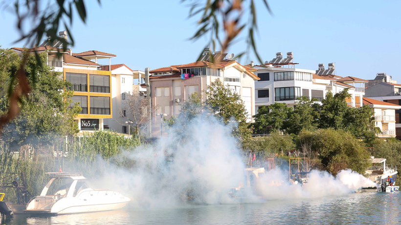 Türkiye’nin Yeni Kabusu, Vücudu Sessizce İstila Ediyor! Kova, Varil ...